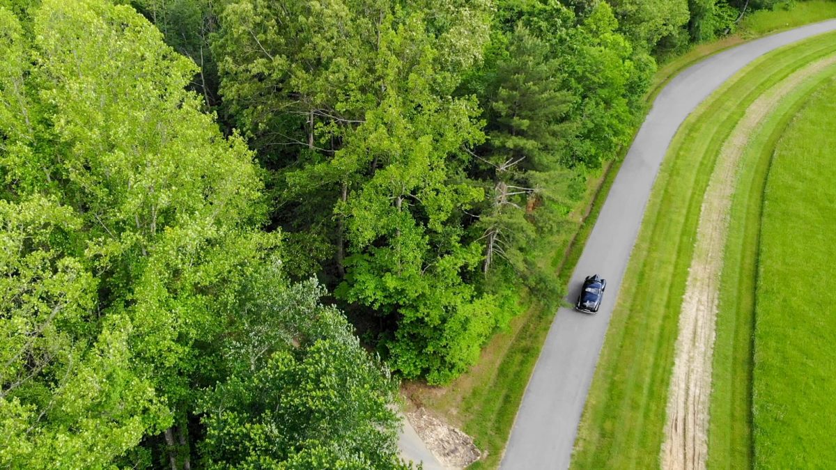 Call Shine – 2019 The Great State of Wilkes